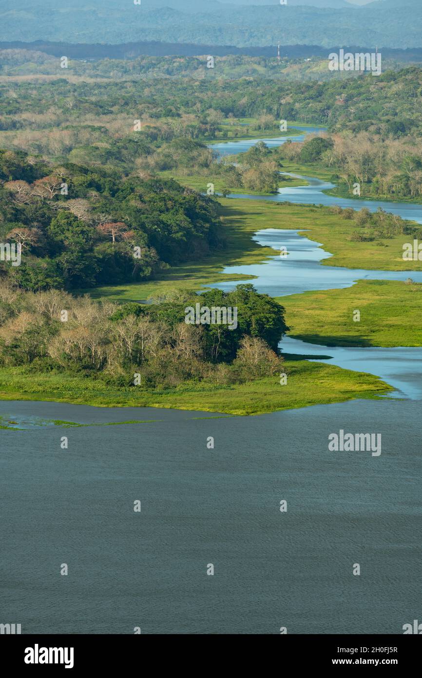 The tropical rainforest in Gamboa along the Panama Canal, Gatun lake ...