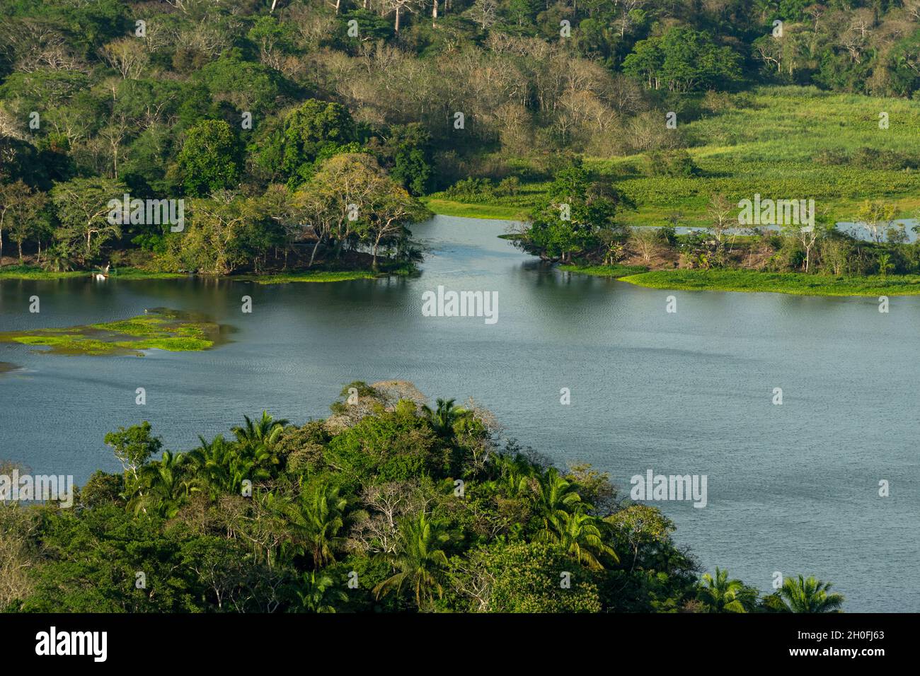 The tropical rainforest in Gamboa along the Panama Canal, Gatun lake ...
