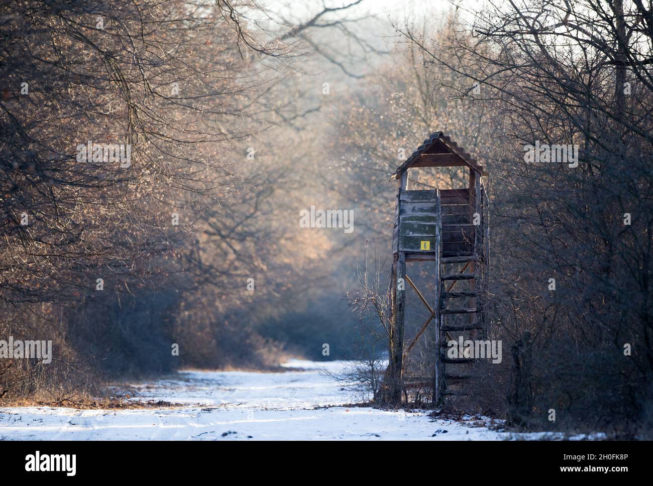 Wooden watchtower in forest in winter landscape covered with snow Stock ...