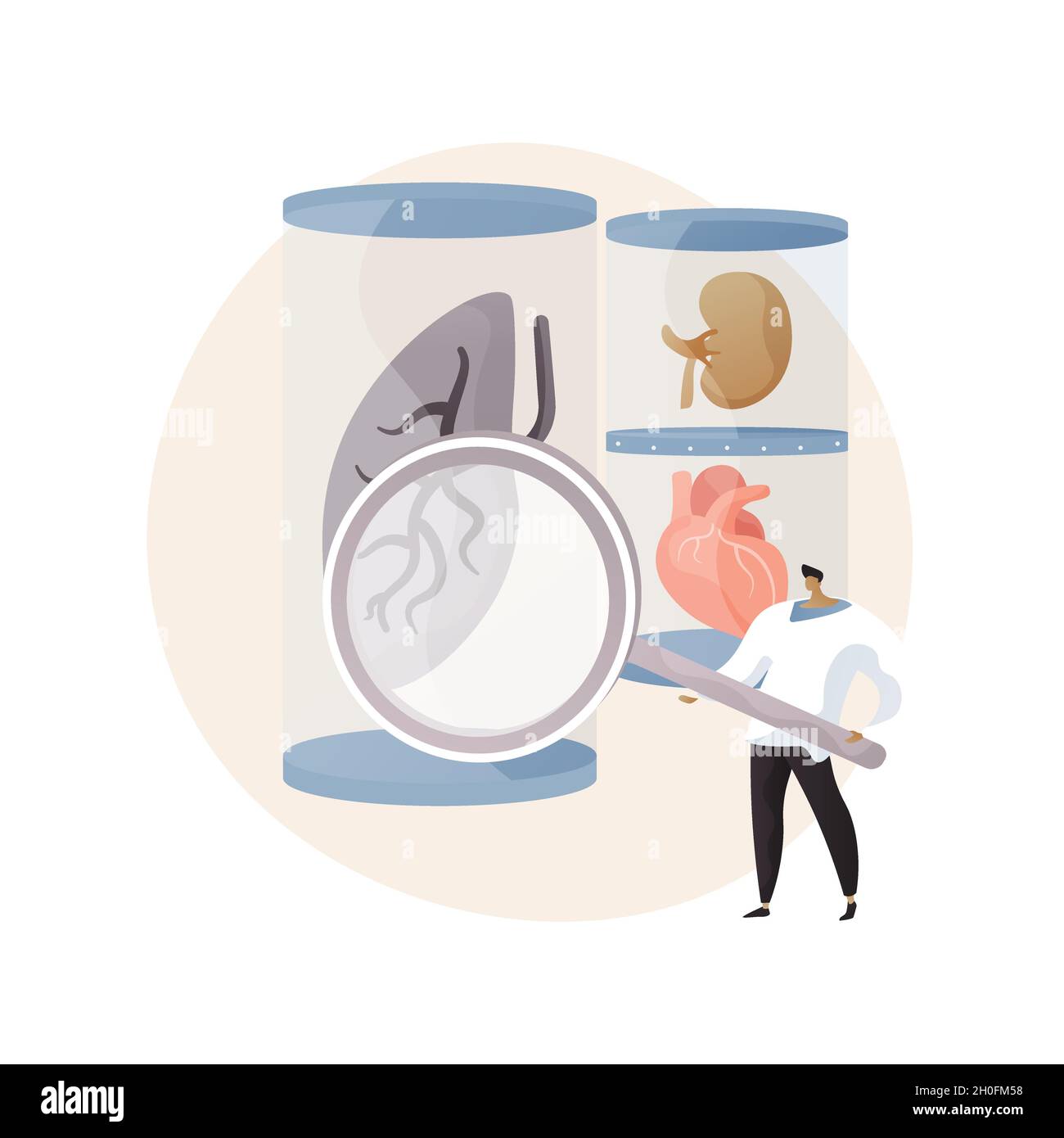Lab-grown organs abstract concept vector illustration Stock Vector ...