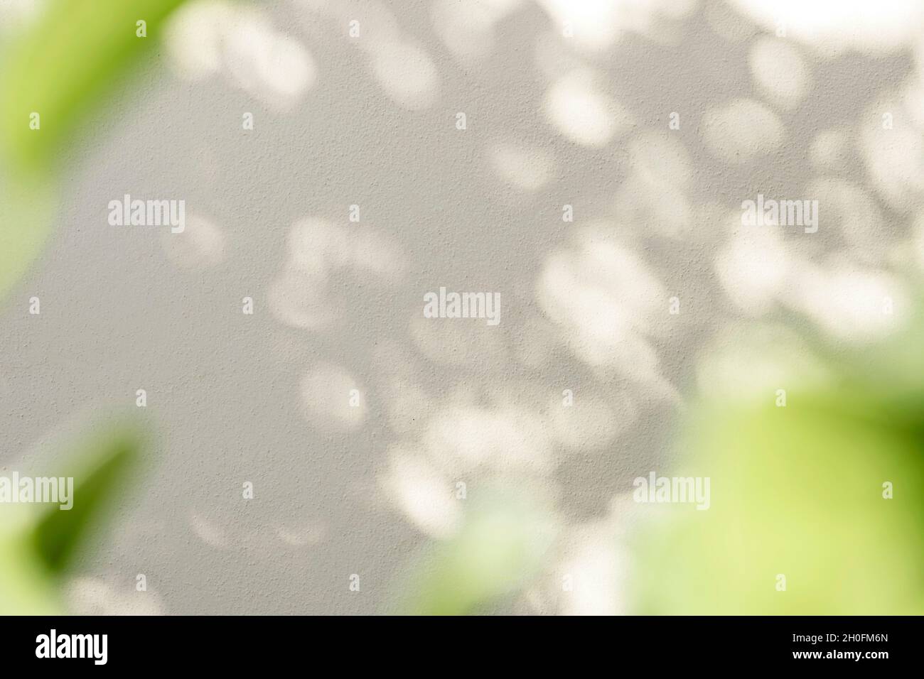 Leaves natural shadow bokeh overlay on white texture background, for ...