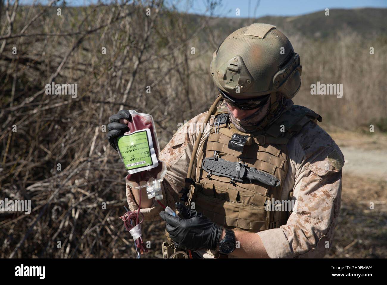 Valkyrie whole blood transfusion training hi-res stock photography and ...