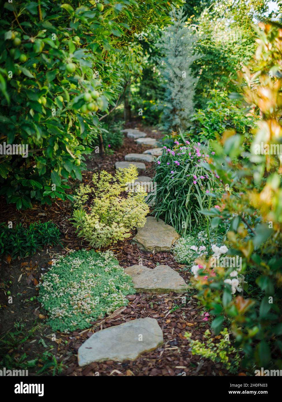 Small garden pathway aerial hi-res stock photography and images - Alamy