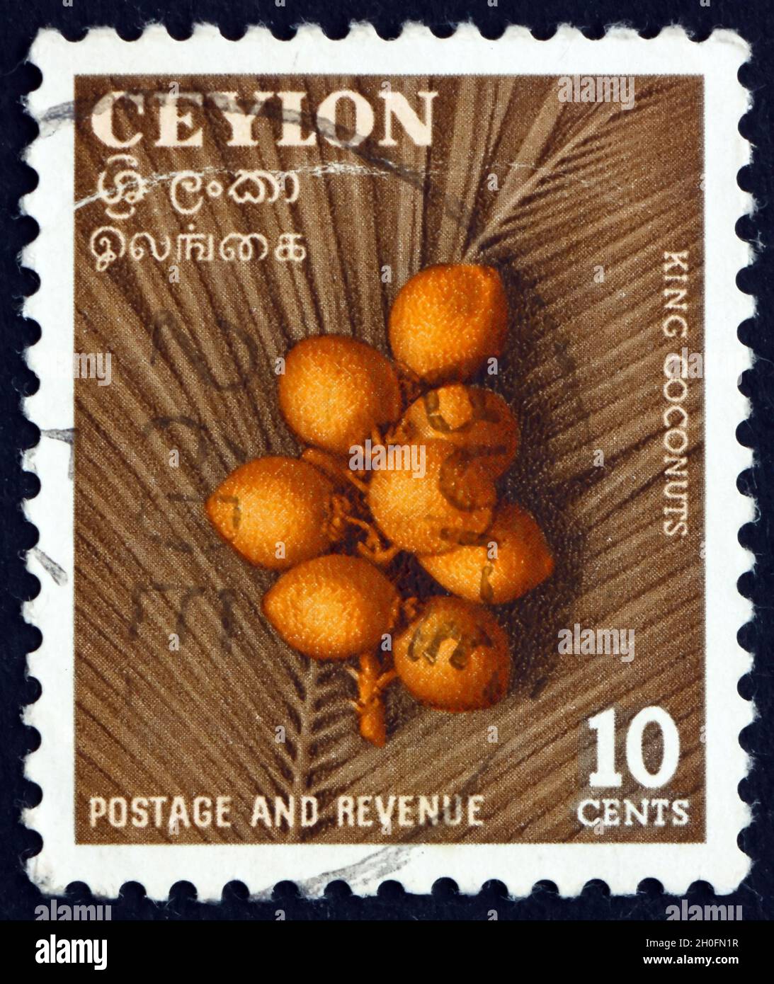 Coconut stamp sri lanka hi-res stock photography and images - Alamy