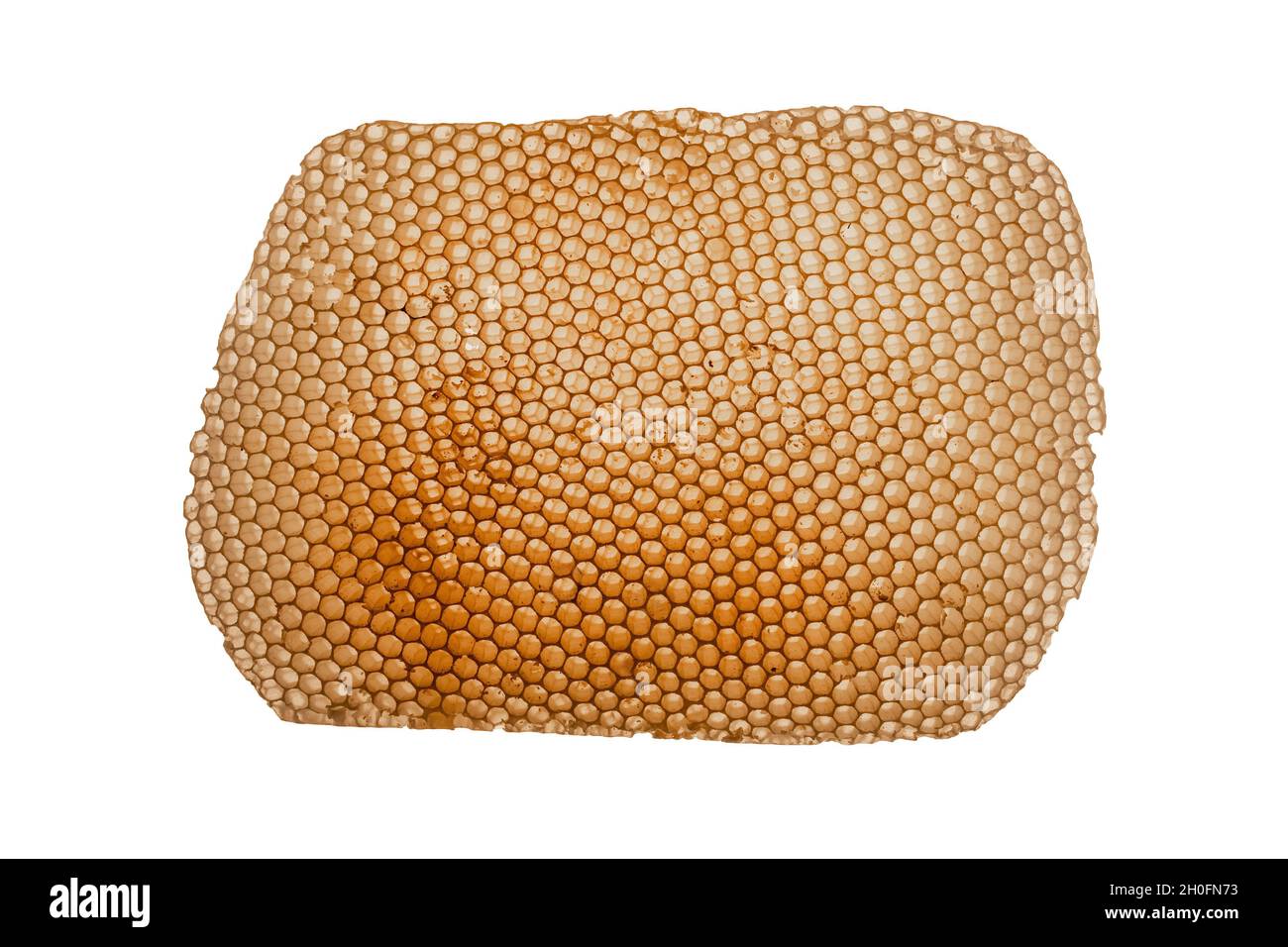 Beehive shape hi-res stock photography and images - Alamy