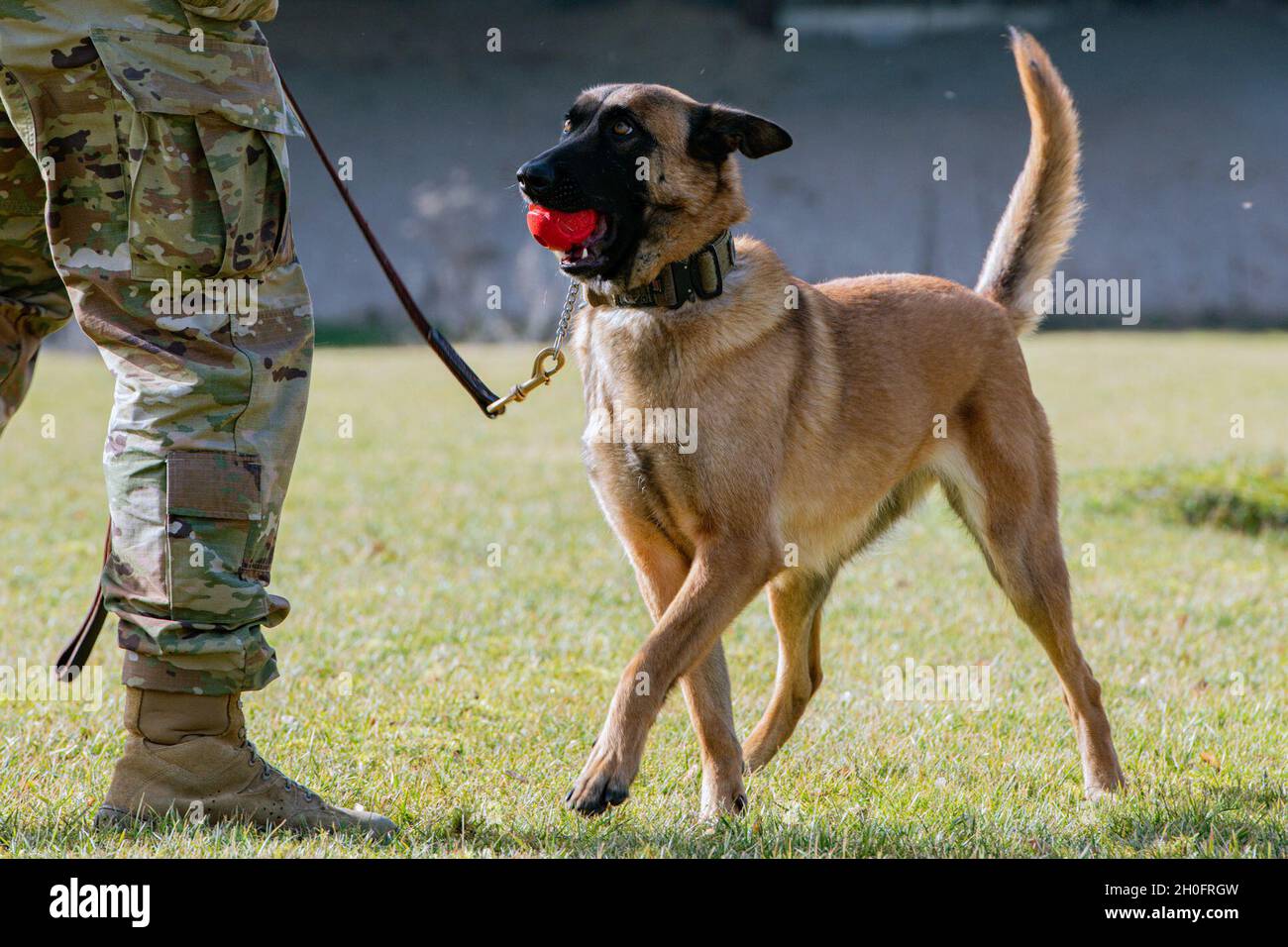 Wackernheim range hi-res stock photography and images - Alamy