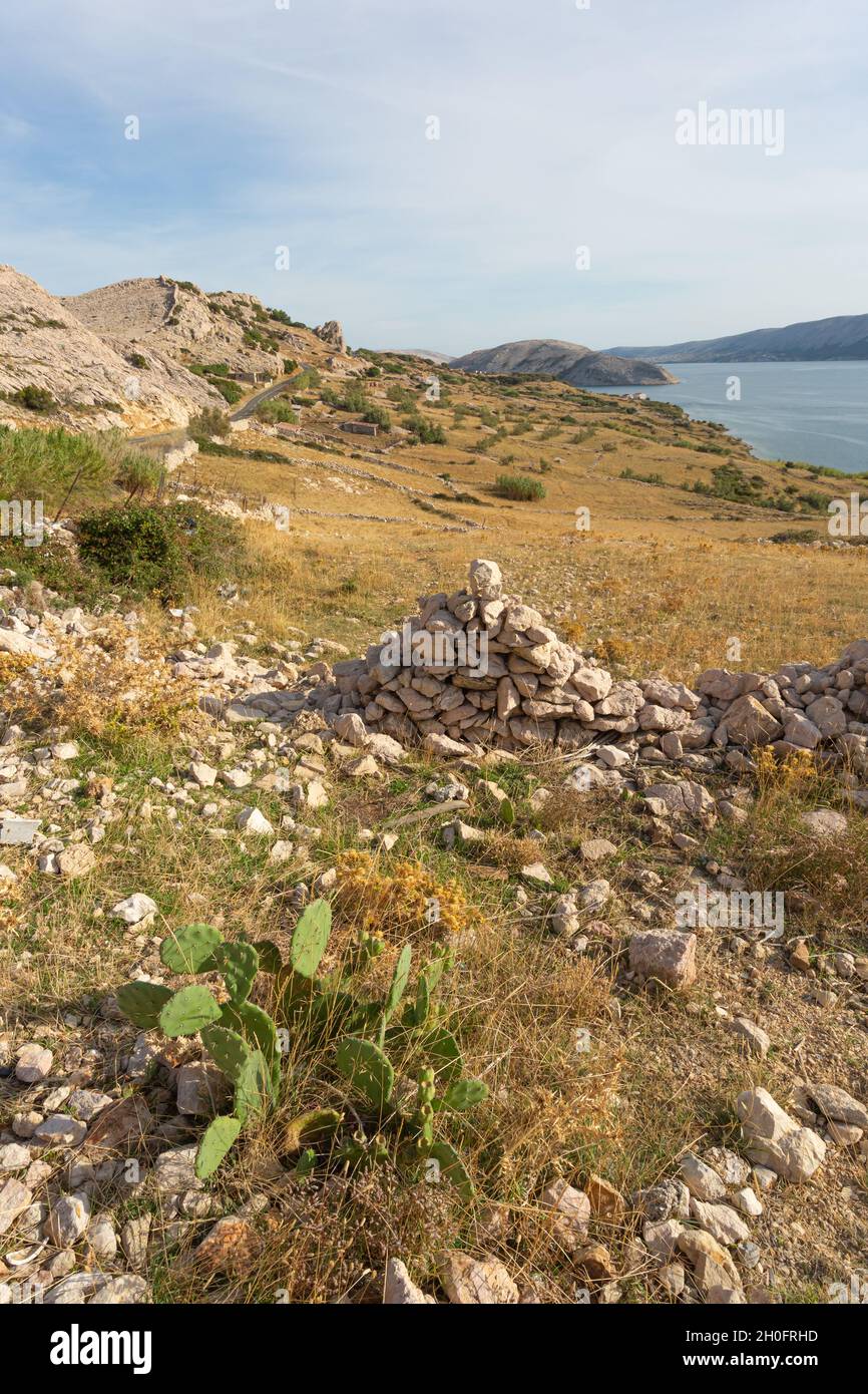 Green pag hi-res stock photography and images - Alamy