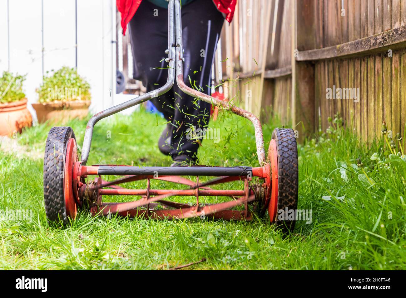 Person Mowing Grass With Hand Powered Lawn Mower Stock Photo - Alamy