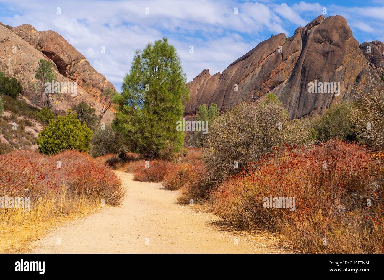 Summer hike in pinnacles national park, West Coast, California, sunny ...