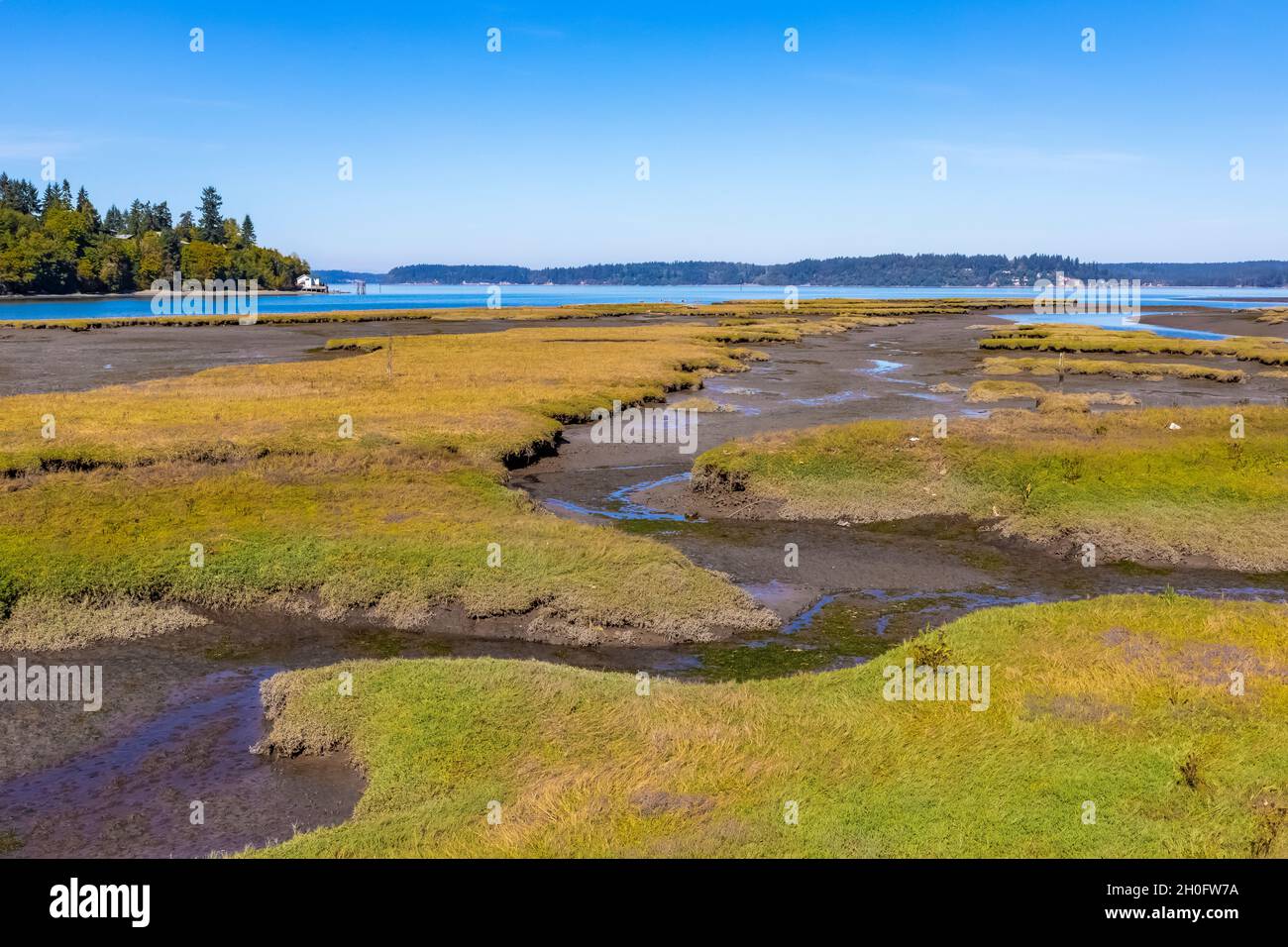 Low tide exposes plants and mudflats and tidal channels at Billy Frank ...