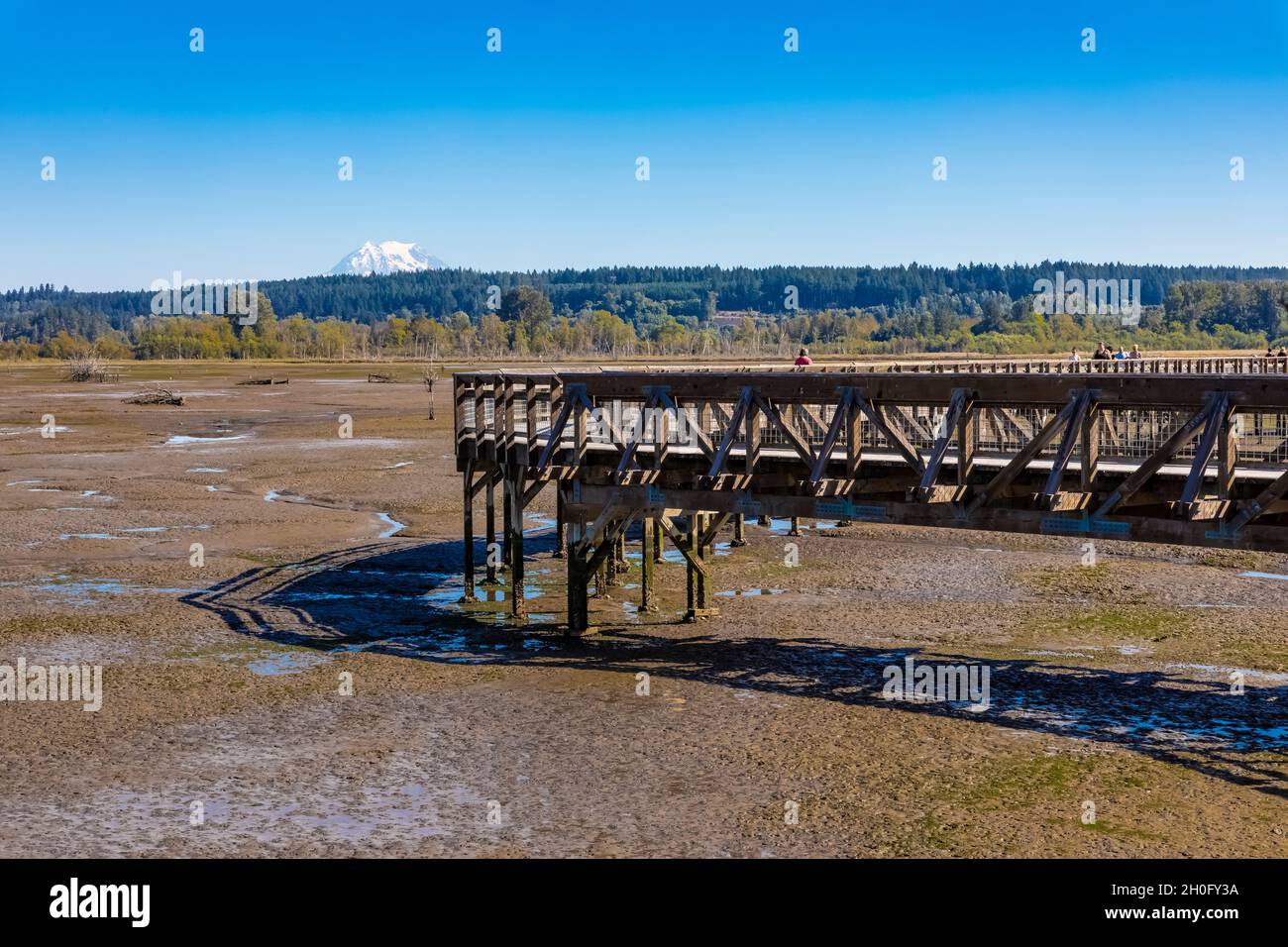 Boardwalk over the estuary and tidally flooded mudflats of Billy Frank ...