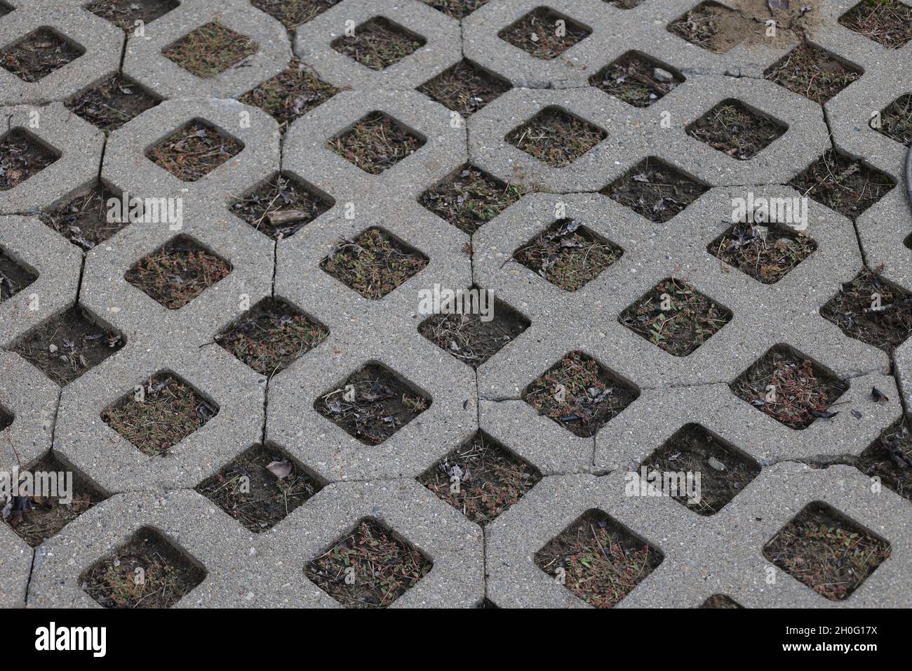 Aesthetic way hi-res stock photography and images - Alamy