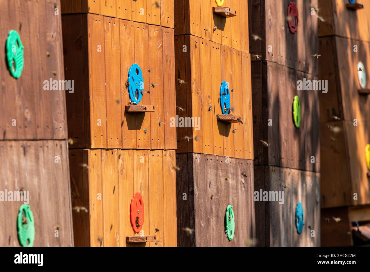 Bees flying into hive hi-res stock photography and images - Alamy
