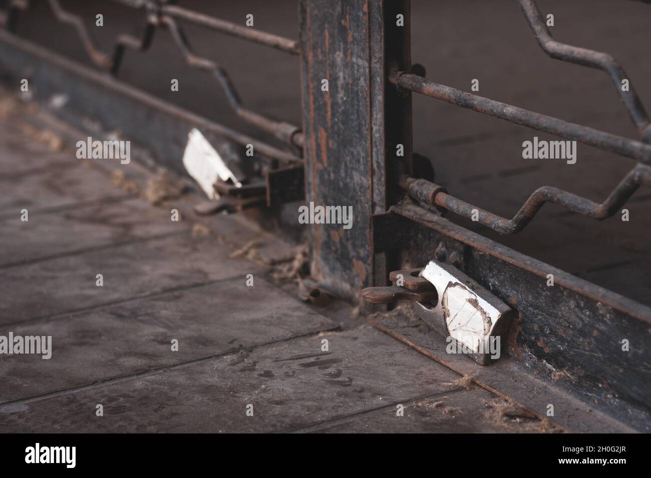 Locks on old rusty metal doors. Business lockdown concept Stock Photo ...