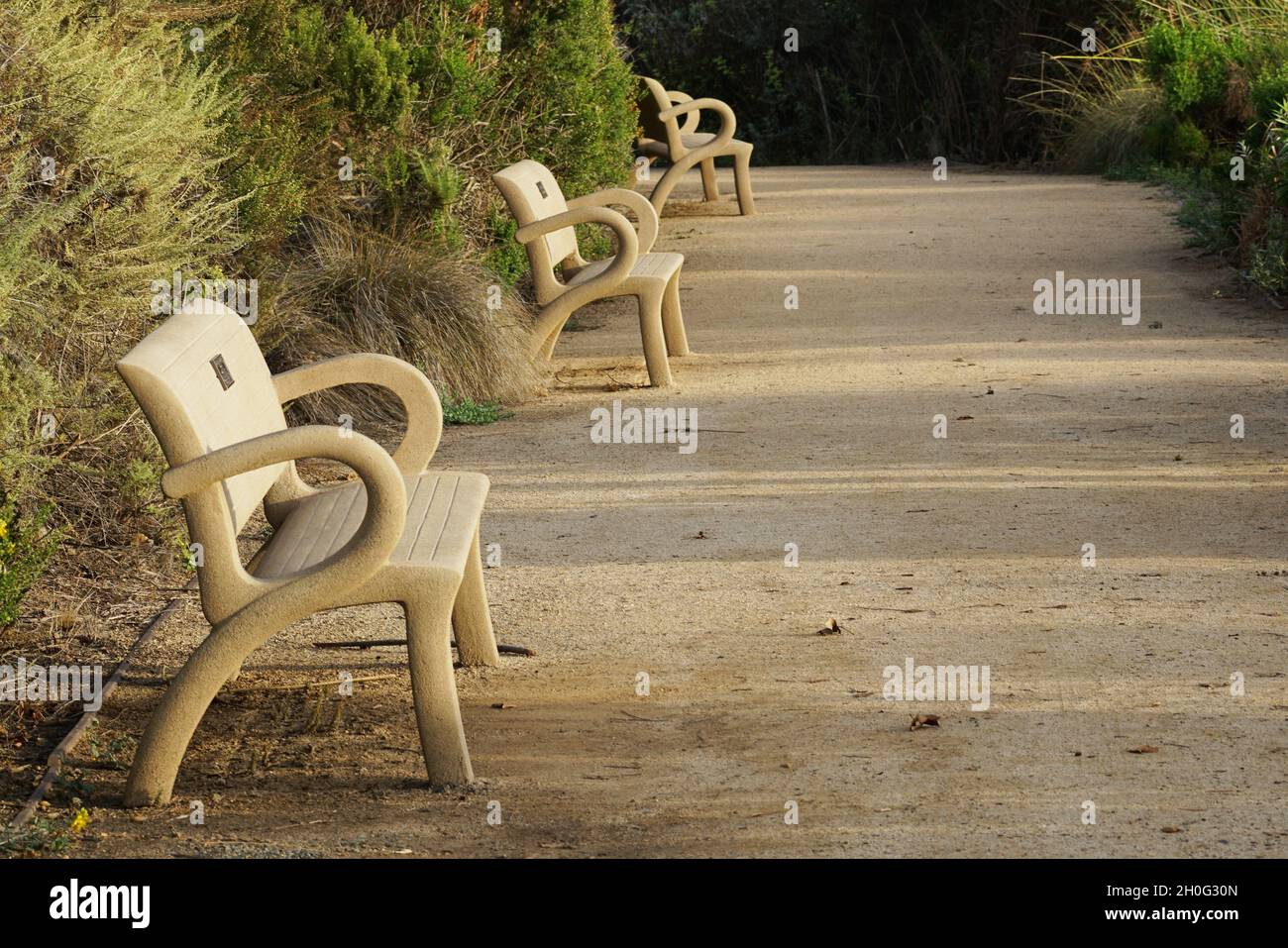 Empty benches located along trail in a nature area Stock Photo - Alamy