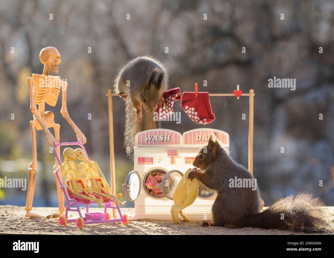 Sock washing machine hi-res stock photography and images - Alamy