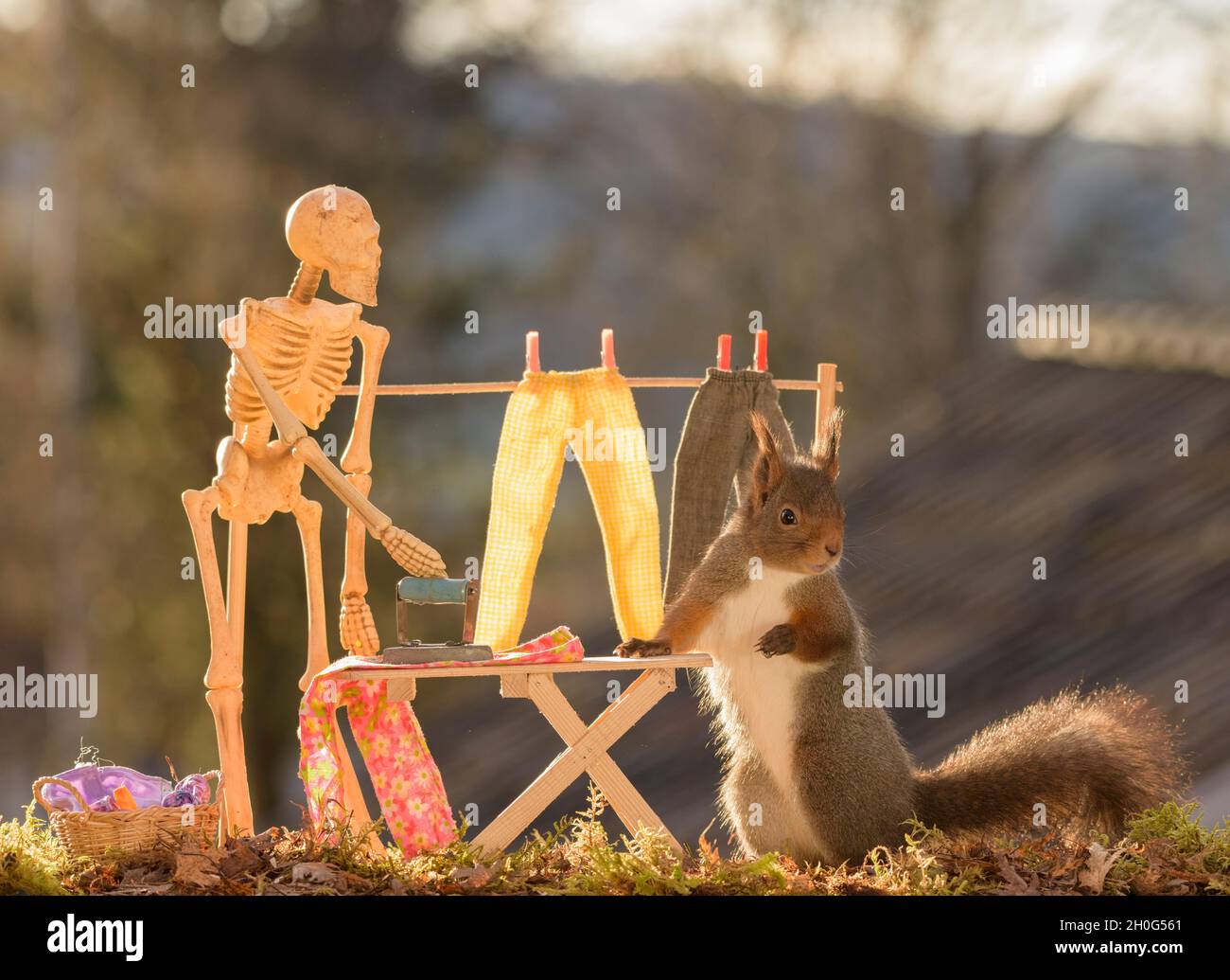red squirrel and skeleton are standing with an Ironing Board Stock ...