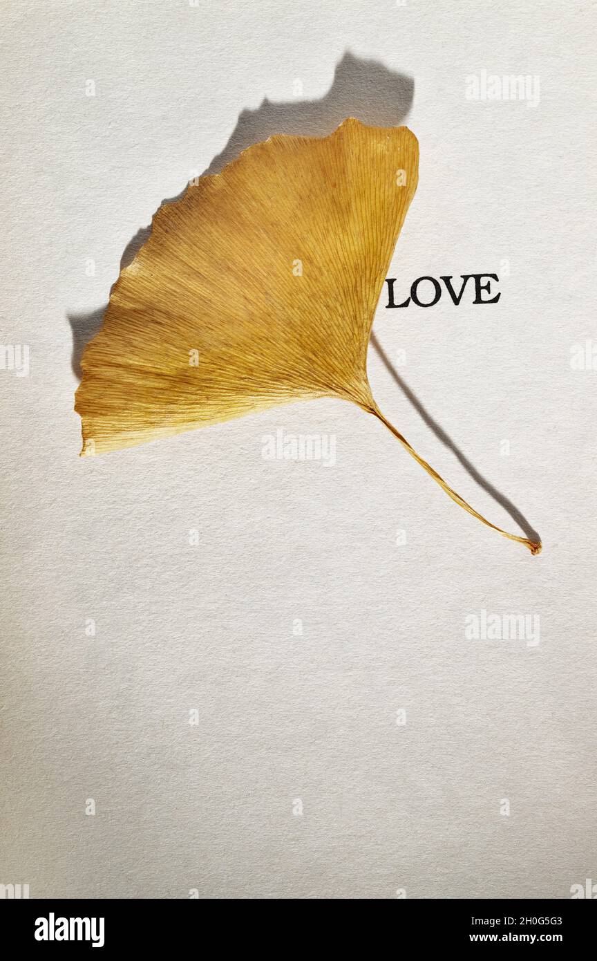 Love composition hi-res stock photography and images - Alamy