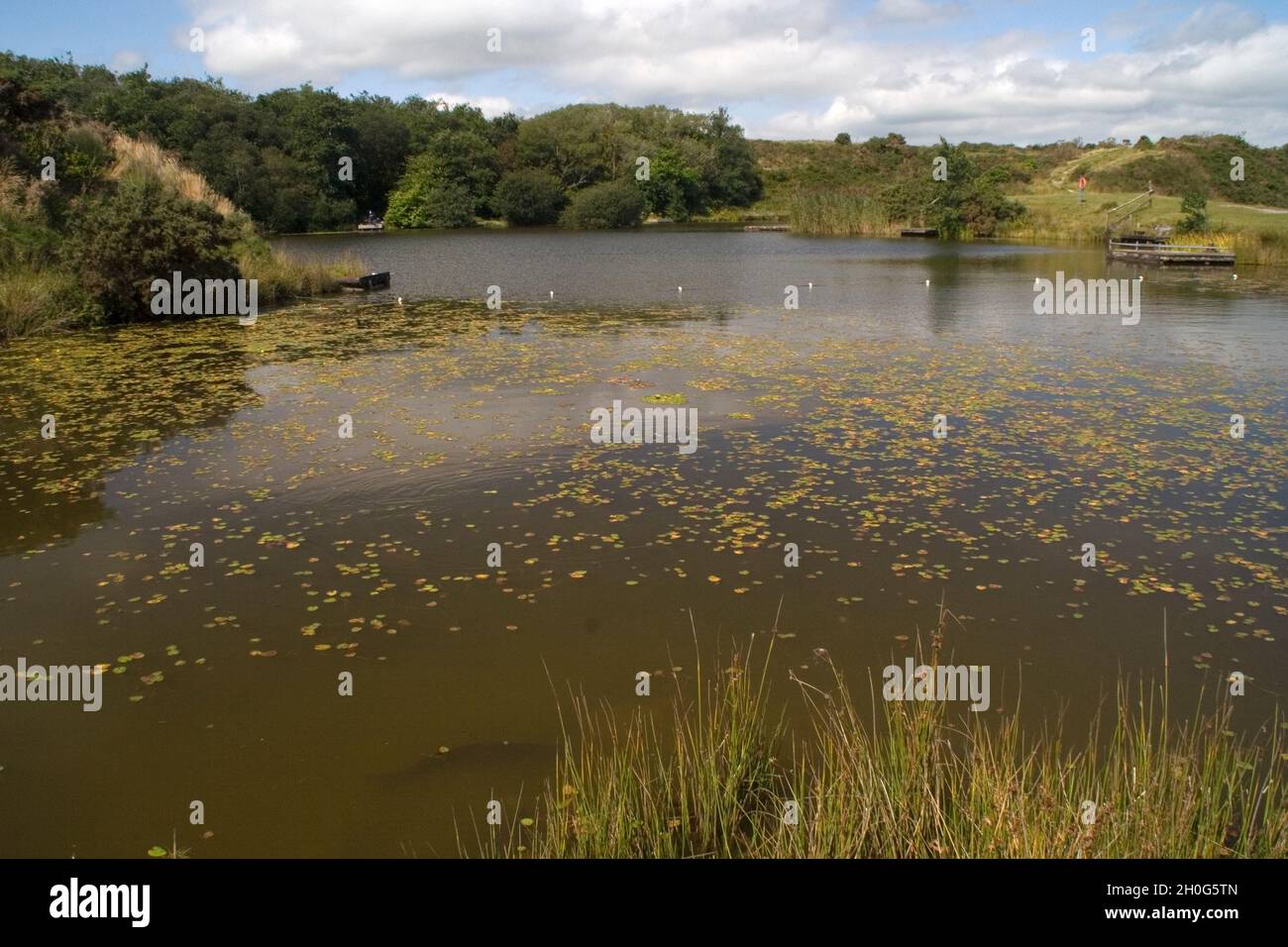 Cadover fishing lakes Stock Photo - Alamy