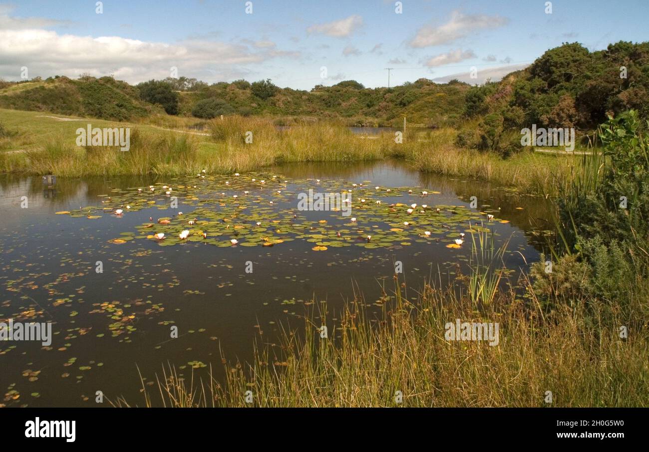 Cadover fishing lakes Stock Photo - Alamy