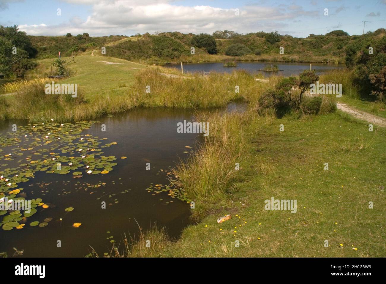 Cadover fishing lakes Stock Photo - Alamy