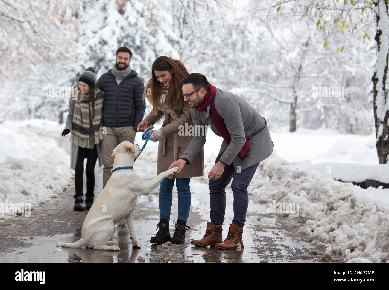 Two people walking talking dog city hi-res stock photography and images ...