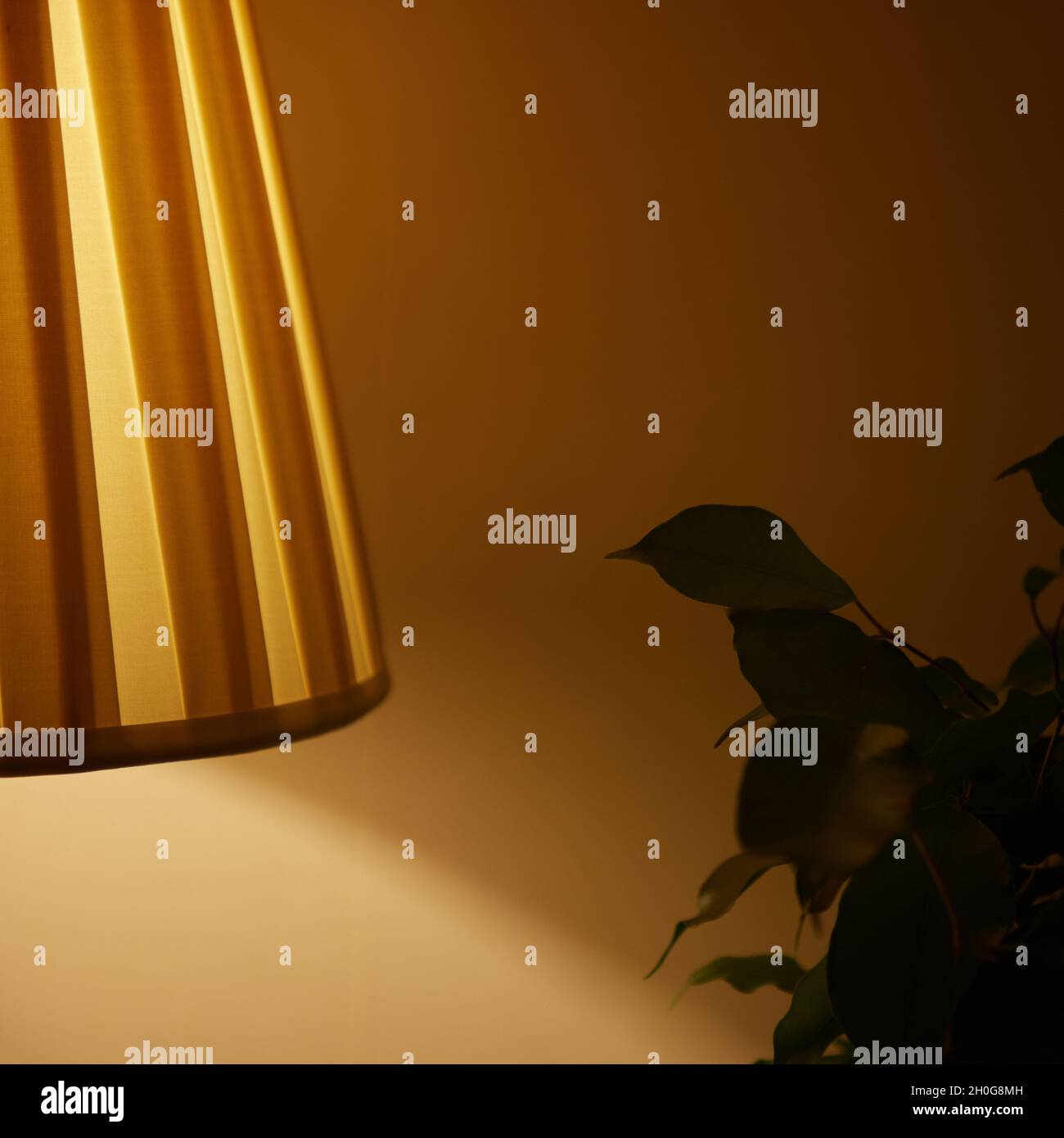 Part of lampshade with light on and a houseplant Stock Photo - Alamy