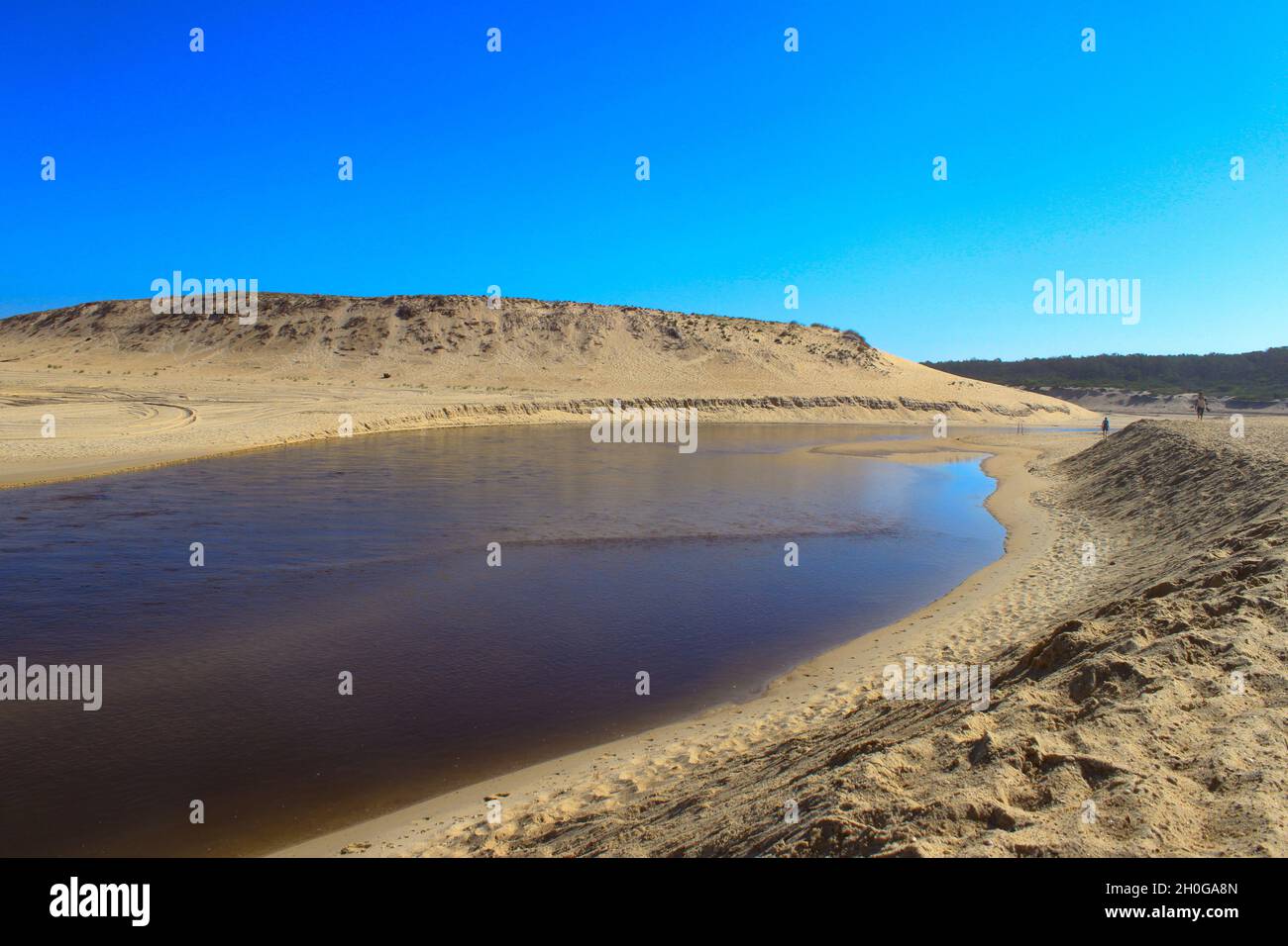 Current of Huchet winds in the middle of the sand at the Moliets-et-Maa ...