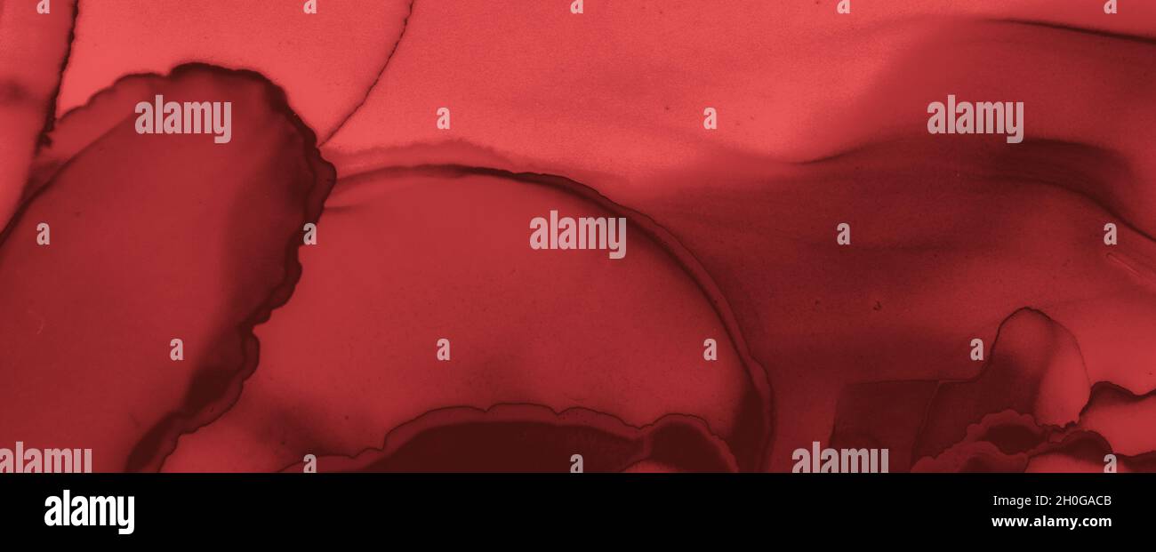 Grunge Blood Background. Rose Fluid Banner Stock Photo - Alamy