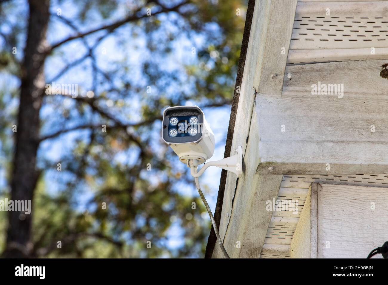 Tree mounted security camera hi-res stock photography and images - Alamy
