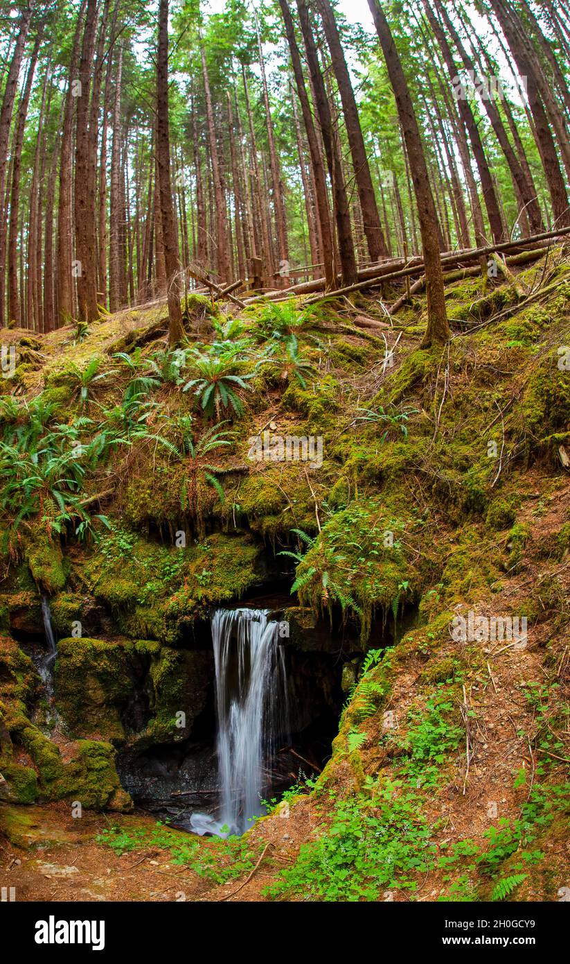 Alice lake loop hi-res stock photography and images - Alamy