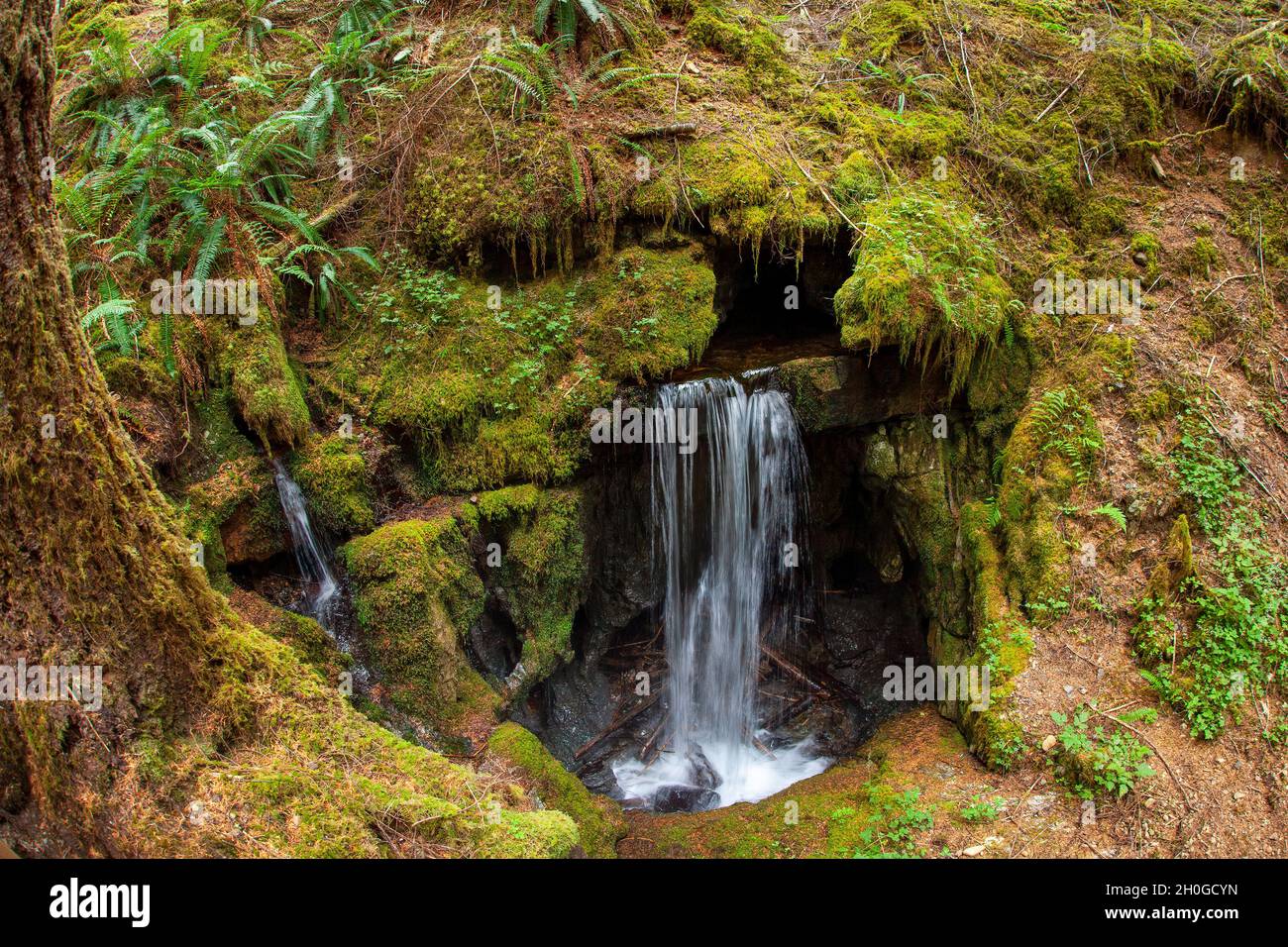 Alice lake loop hi-res stock photography and images - Alamy