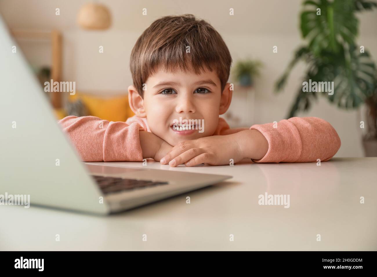 Little boy watching cartoons on laptop at table in living room Stock ...