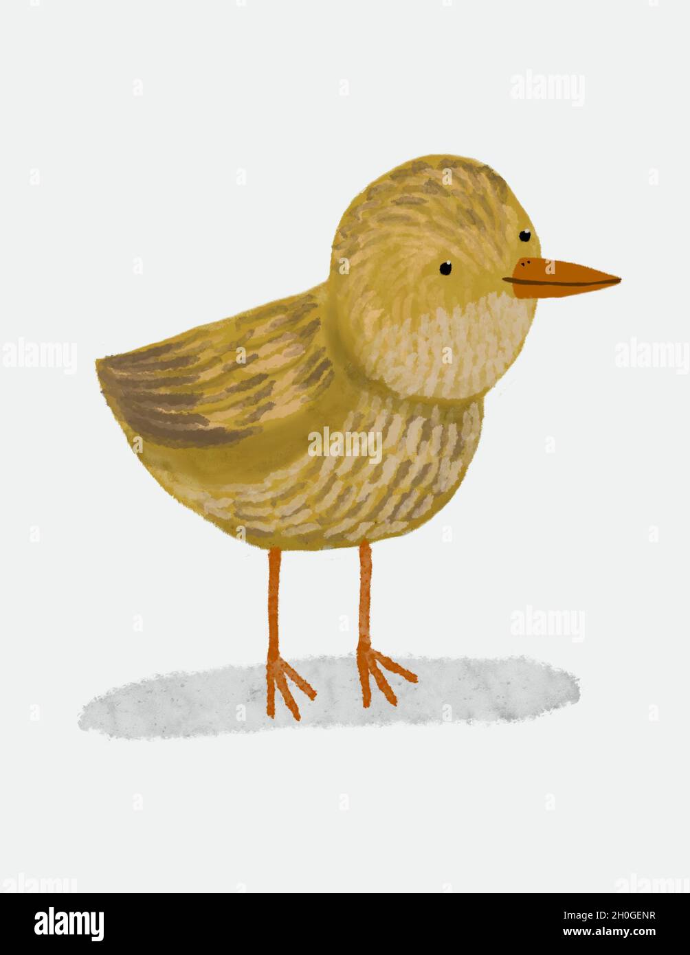 cute little birds illustration Stock Photo - Alamy
