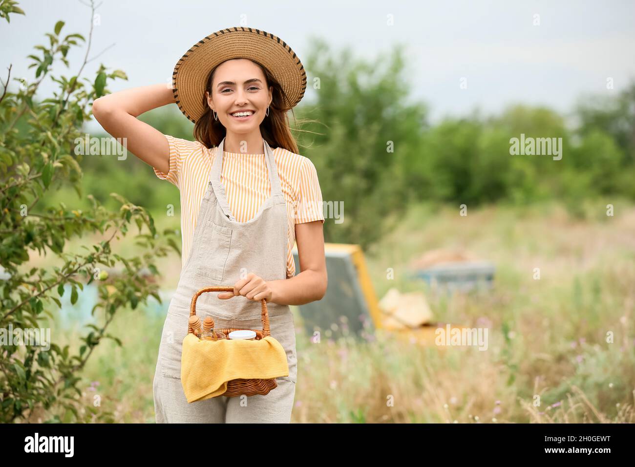 Wicker bee hive hi-res stock photography and images - Alamy