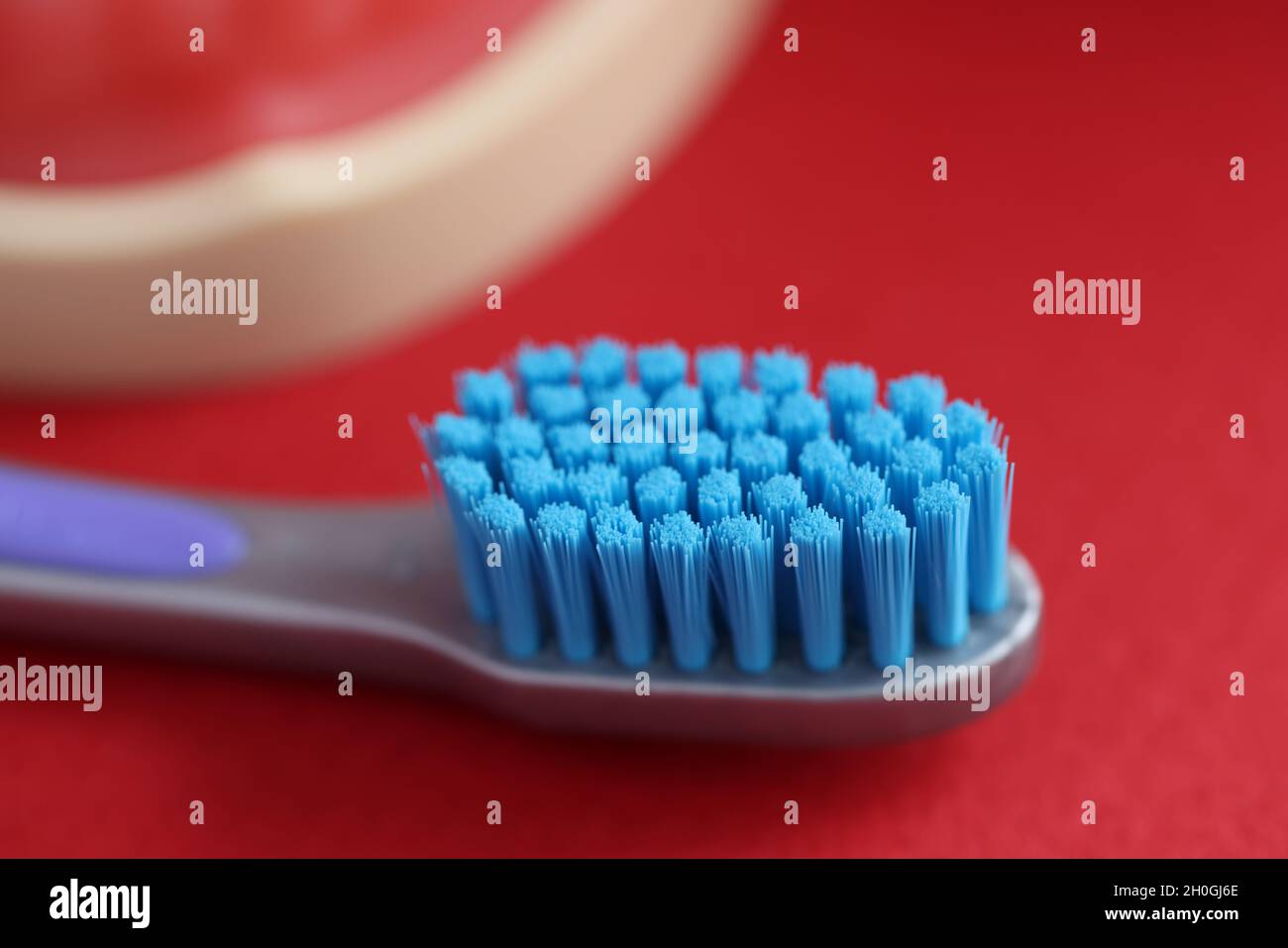 New toothbrush hi-res stock photography and images - Alamy