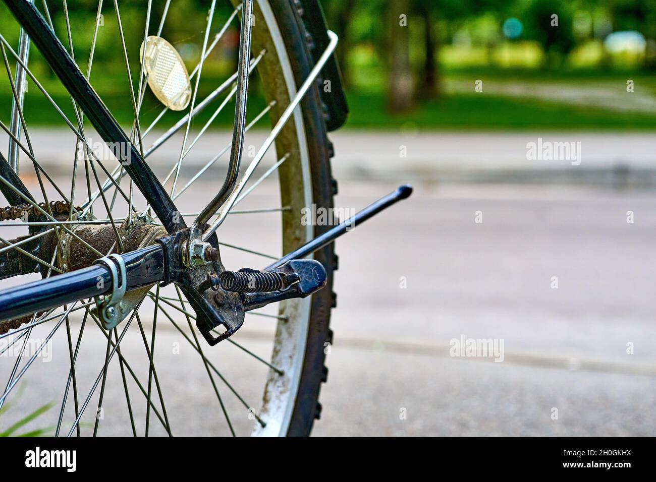 Bicycle rear wheel with brakes on the background of the road and park ...