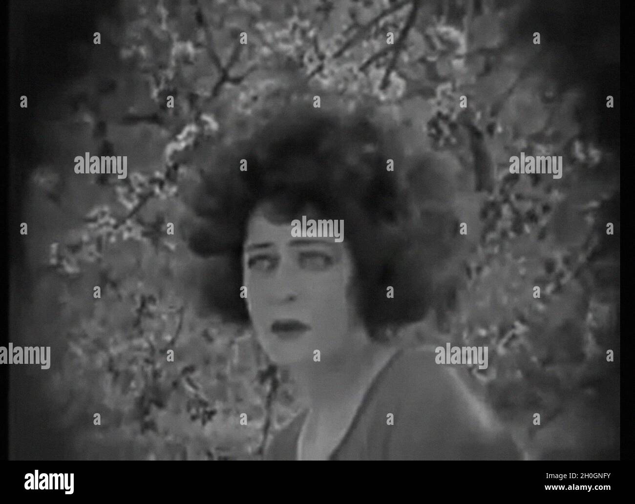 Vintage poster 1920s 1940s park hi-res stock photography and images - Alamy