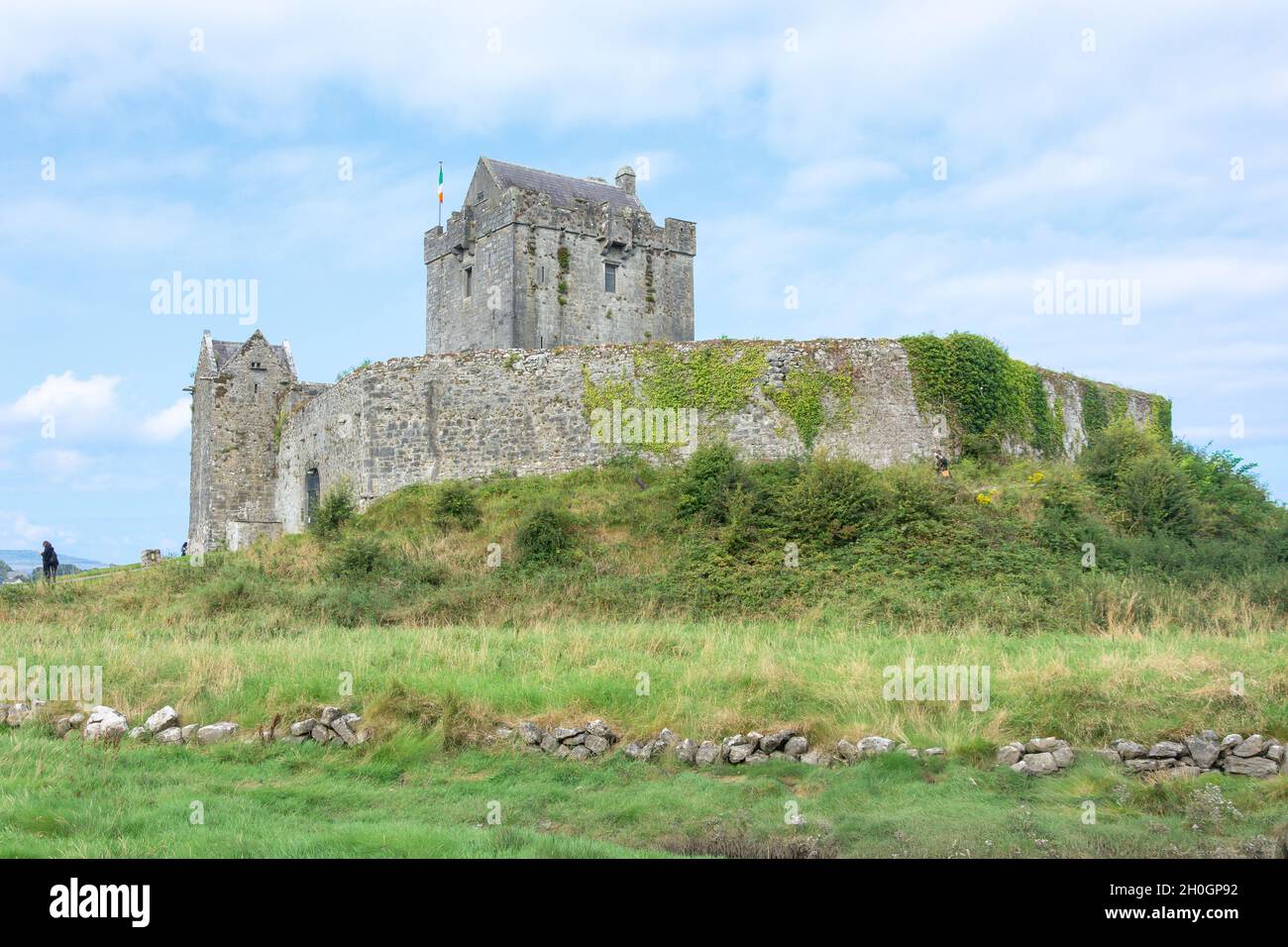 16th century Dunguaire Castle (Dun Guaire), Kinvara, Galway Bay, County ...