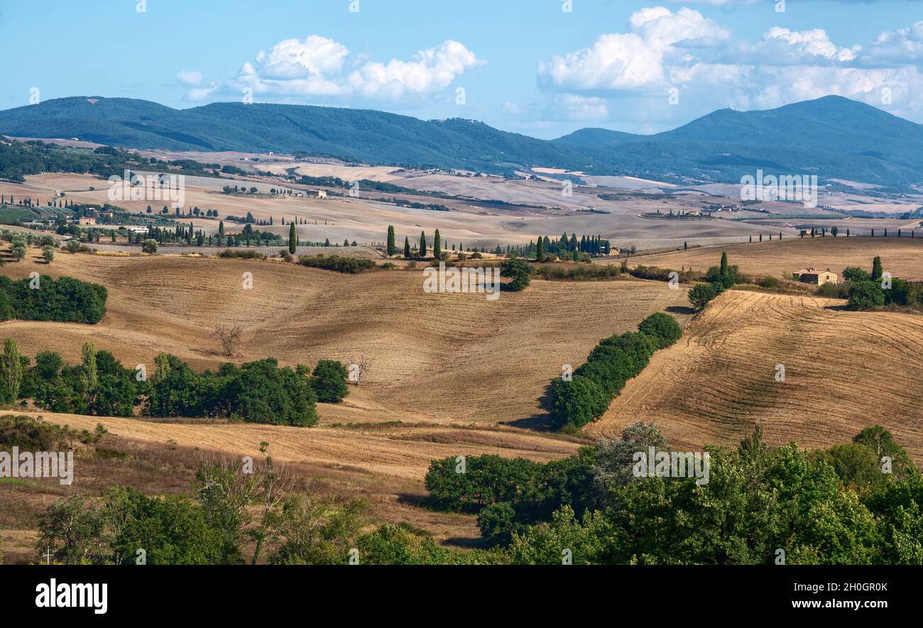 Tuscany, Italy. August 2020. Amazing landscape of the Tuscan ...