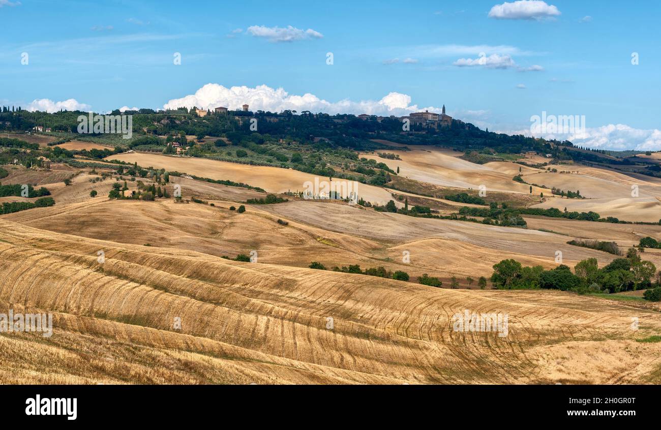 Tuscany, Italy. August 2020. Amazing landscape of the Tuscan ...