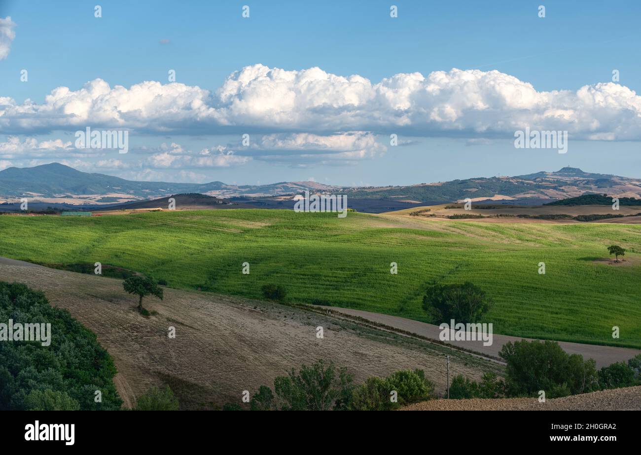 Tuscany, Italy. August 2020. Amazing landscape of the Tuscan ...