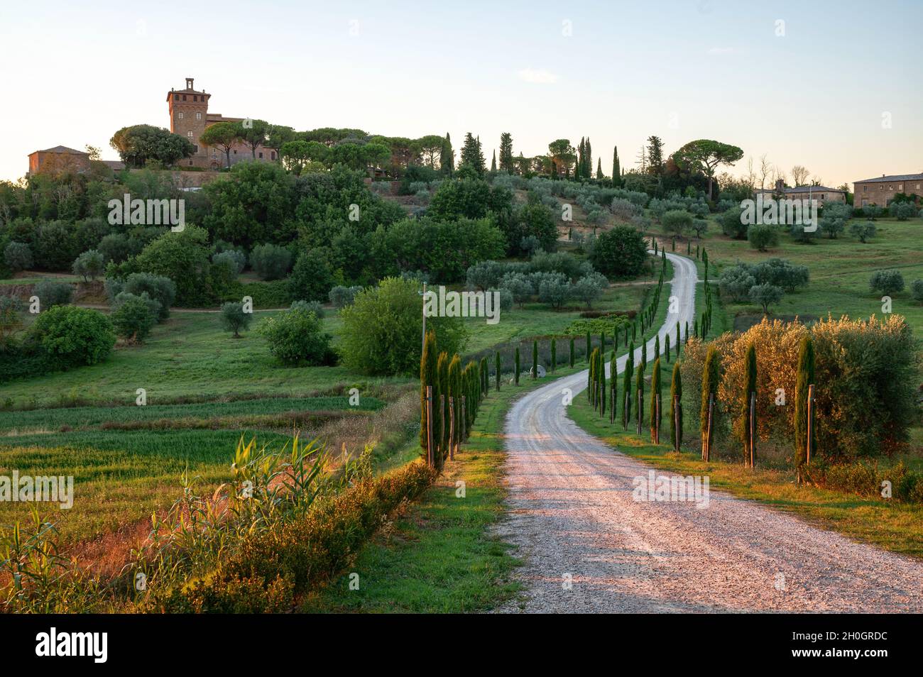 Tuscany, Italy. August 2020. Amazing landscape of the Tuscan ...