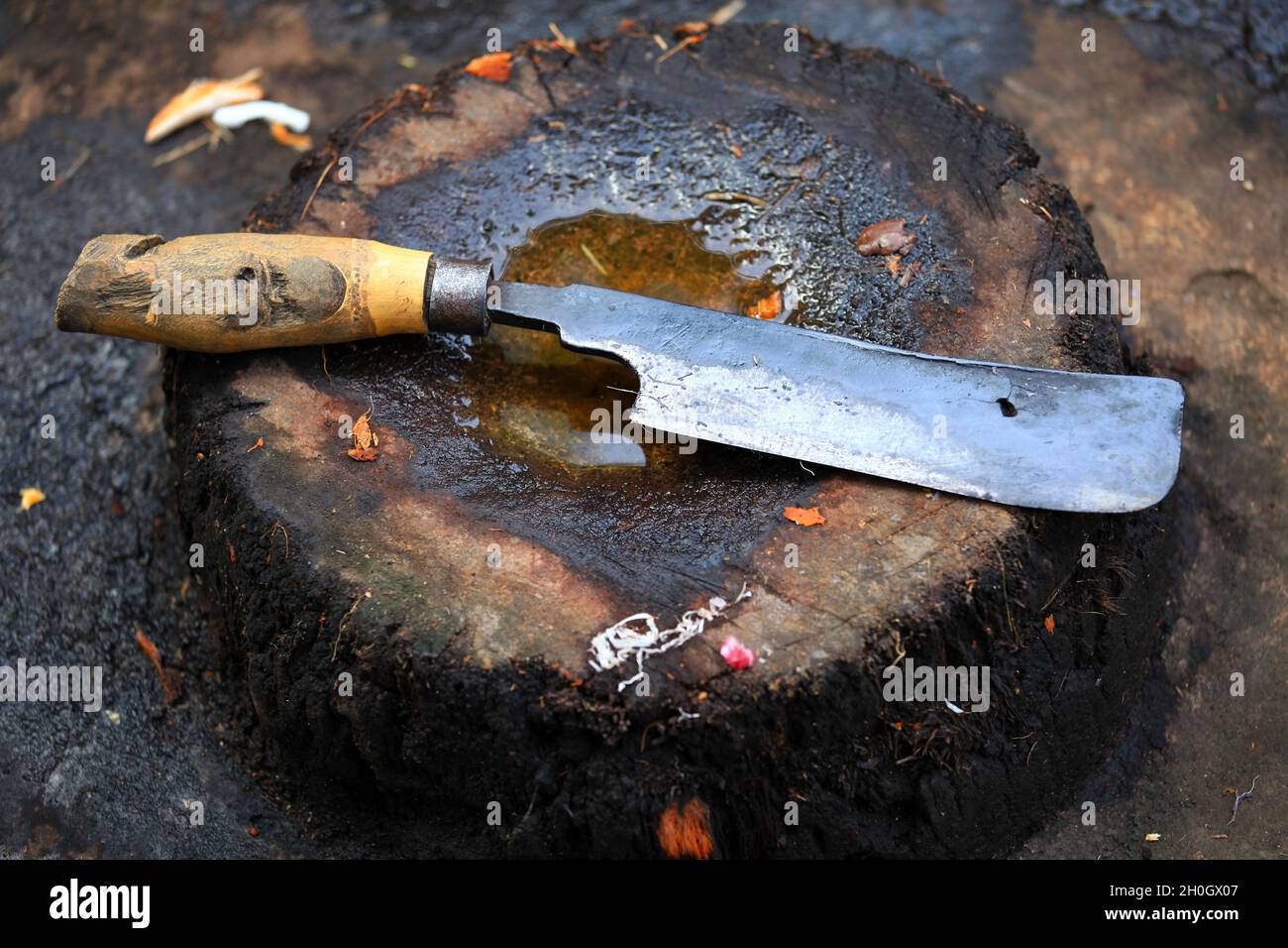 An old coconut tree trunk used as a chopping block and a chopper or ...