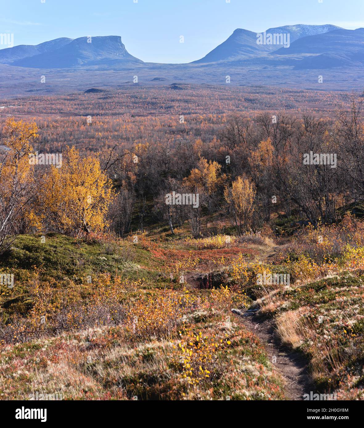 Abisko national park in sweden hi-res stock photography and images - Alamy