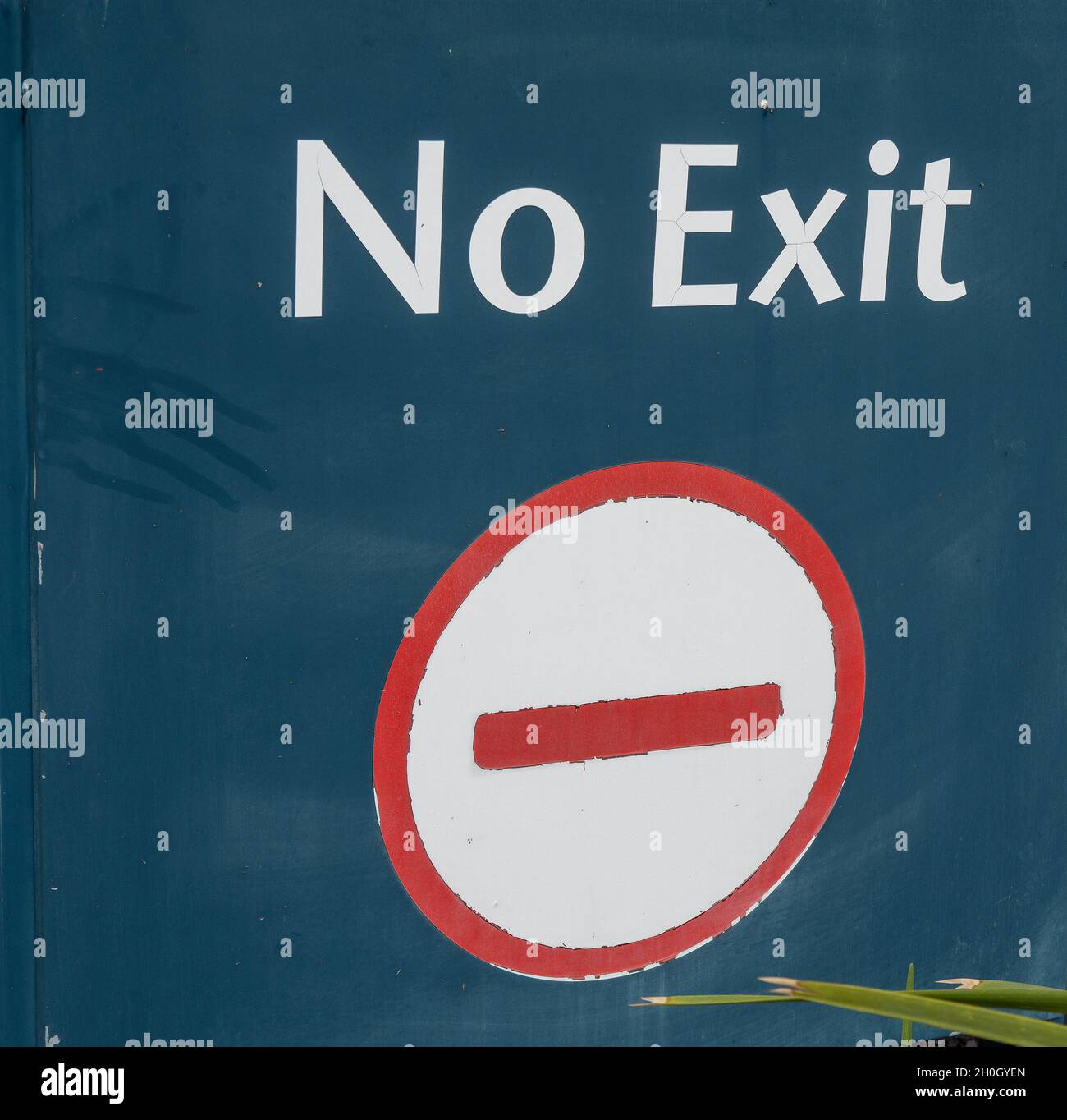 No Exit sign white letters on blue background with red and white symbol ...