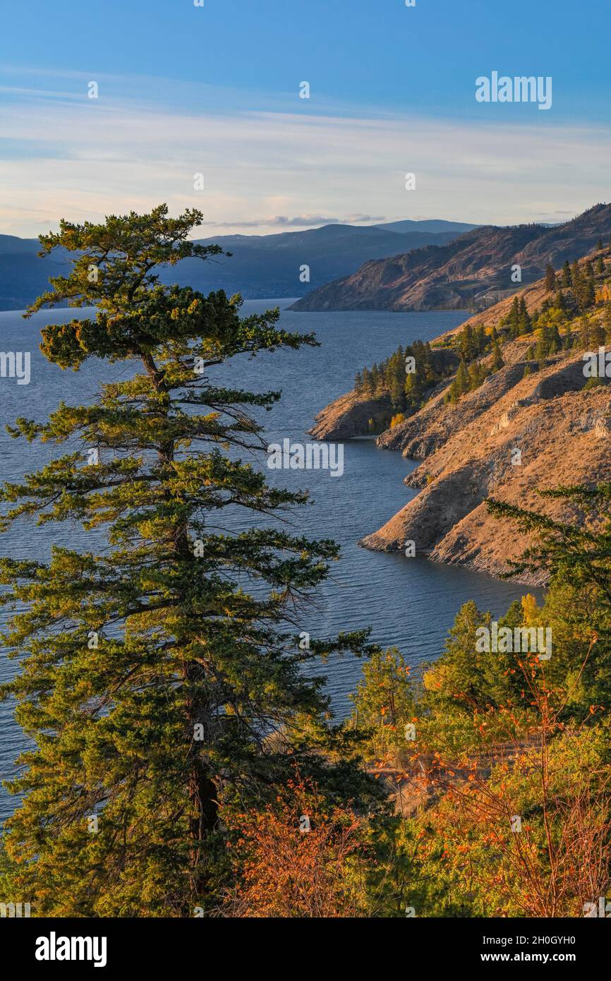 Naramata shoreline and okanagan lake okanagan valley of british ...