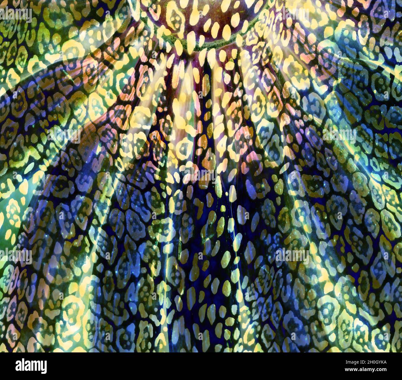 textile print patterns, modern mixed designs Stock Photo - Alamy