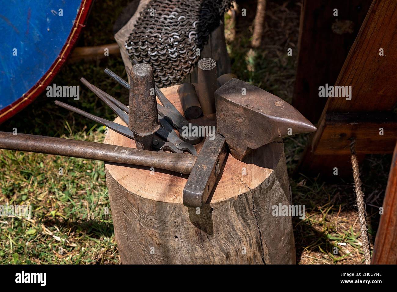 Vikings village 8th century hi-res stock photography and images - Alamy