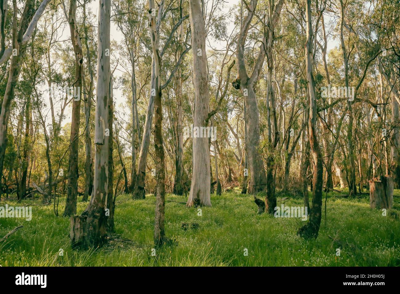 Australian getaway hi-res stock photography and images - Alamy